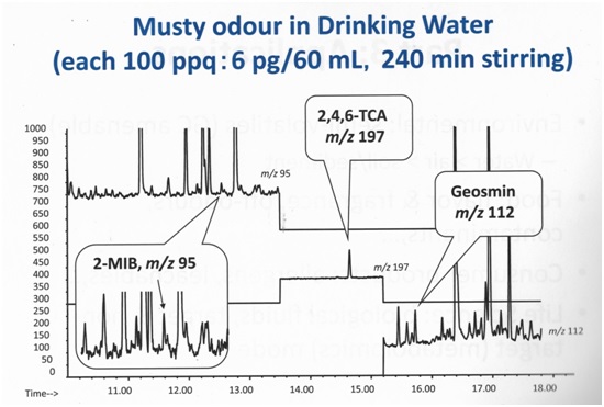 SBSE Musty Odor Drinking Water